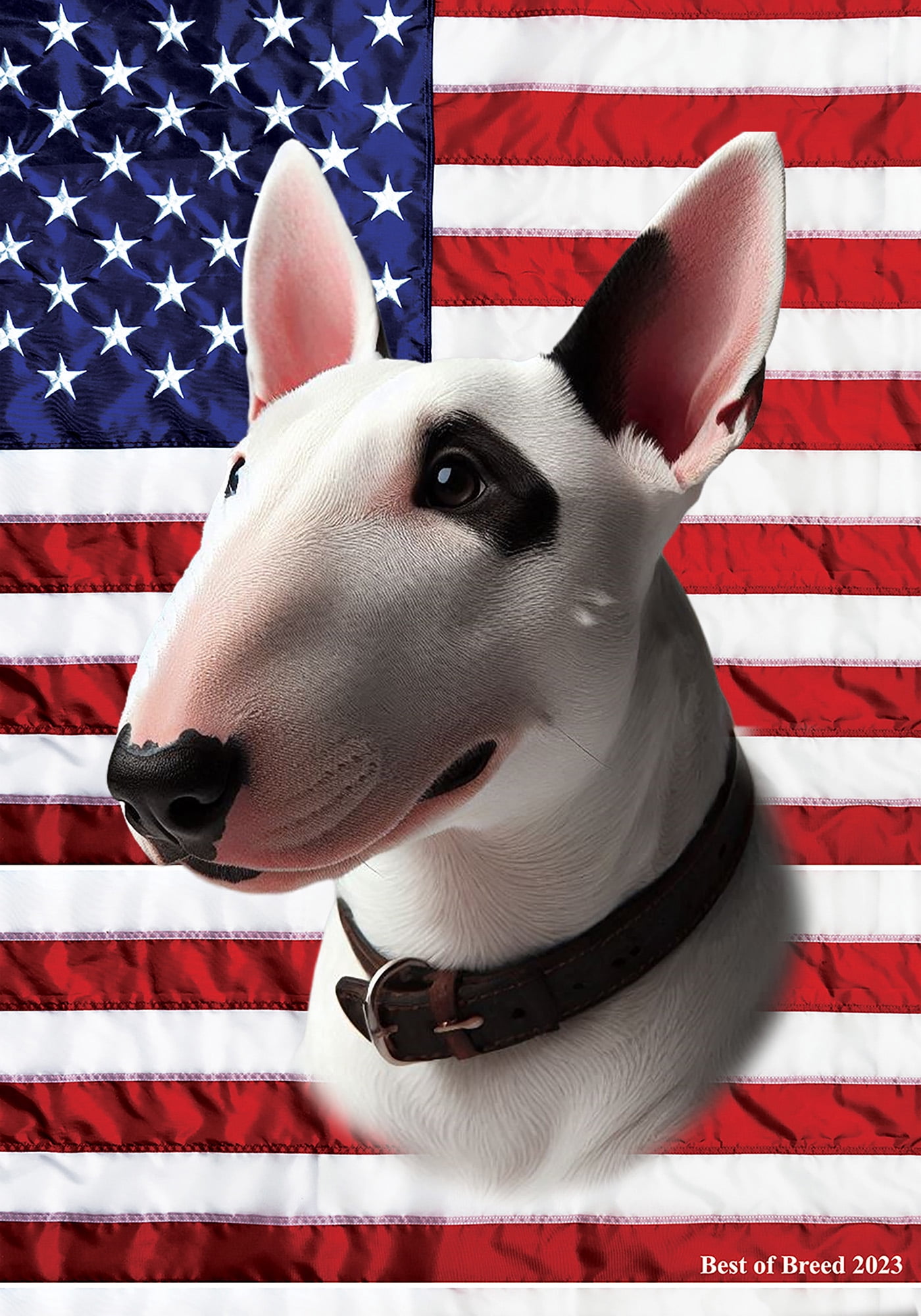 Bull Terrier Mini - Best of Breed All-American Patriotic III House ...