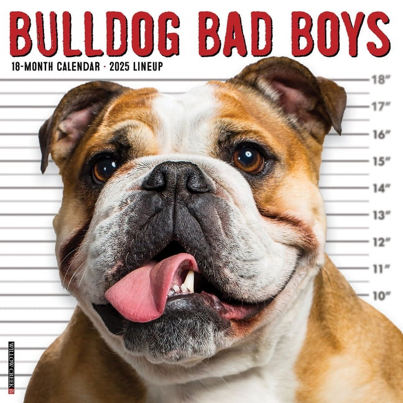 Bulldog Bad Boys 2025 12 X 12 Wall Calendar, (Paperback) - Walmart.com