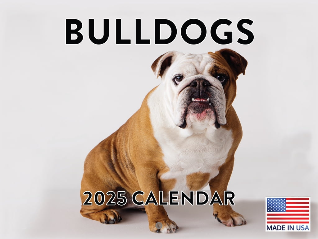 Bulldog Calendar 2025 Monthly Wall Calender 12 Month | American Made In ...