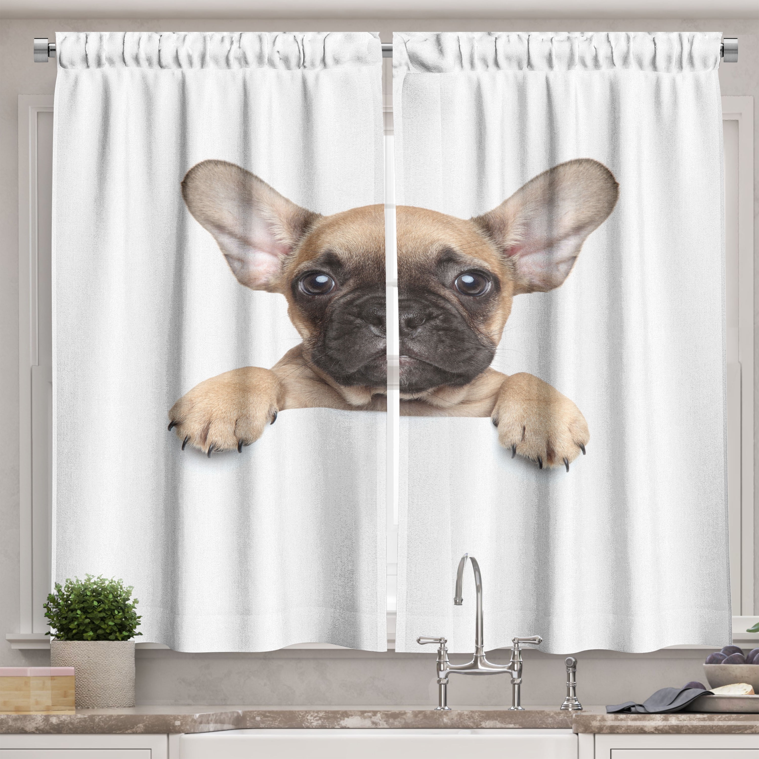 Bulldog Kitchen Curtains, Pedigreed Young Puppy Close-up Photo Best ...