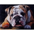 Bulldog Latch Hook Kits Rug DIY Cushion Tapestry Making Crochet Hook ...