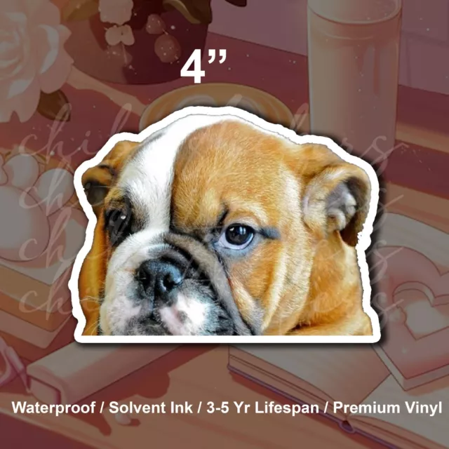 Bulldog Peeking Canine Sticker Cute Dog Sticker Vinyl Waterproof Phone ...