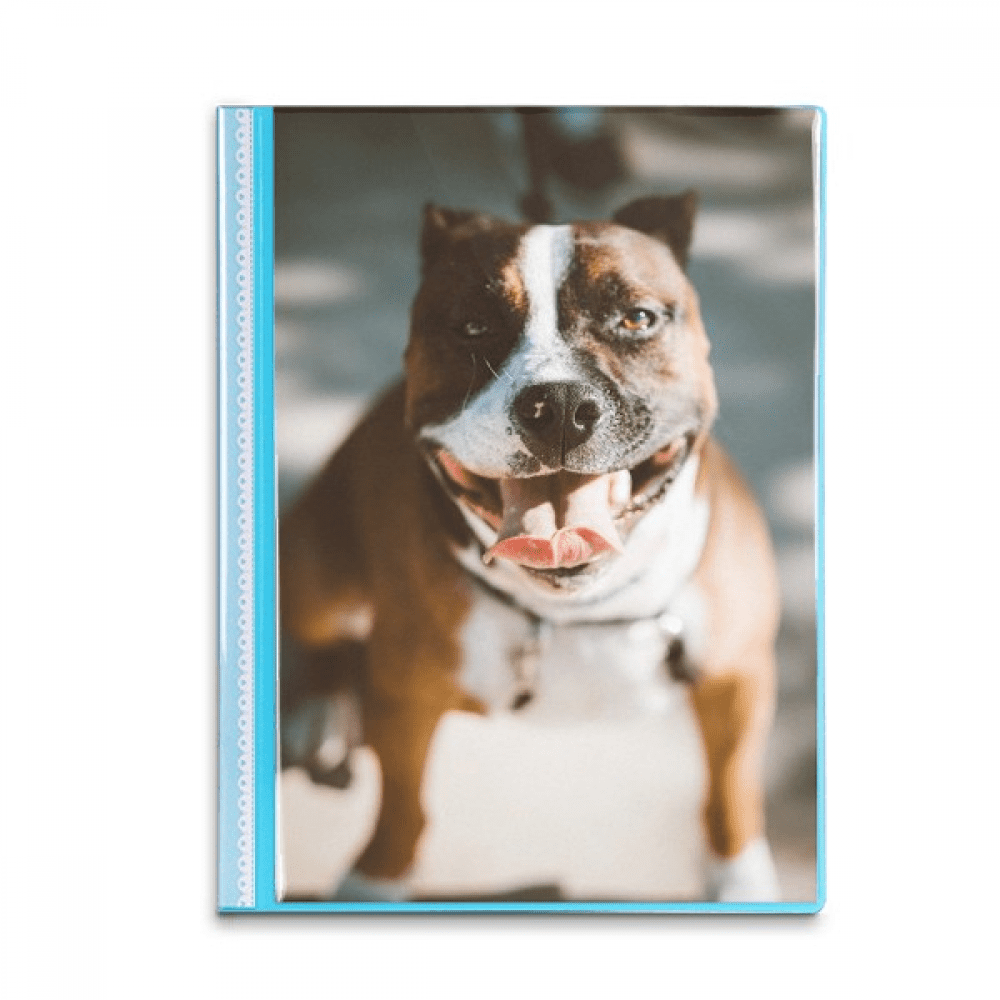 Bulldog Pet Animal Frightful Picture Book Sheet Protectors Portfolio ...