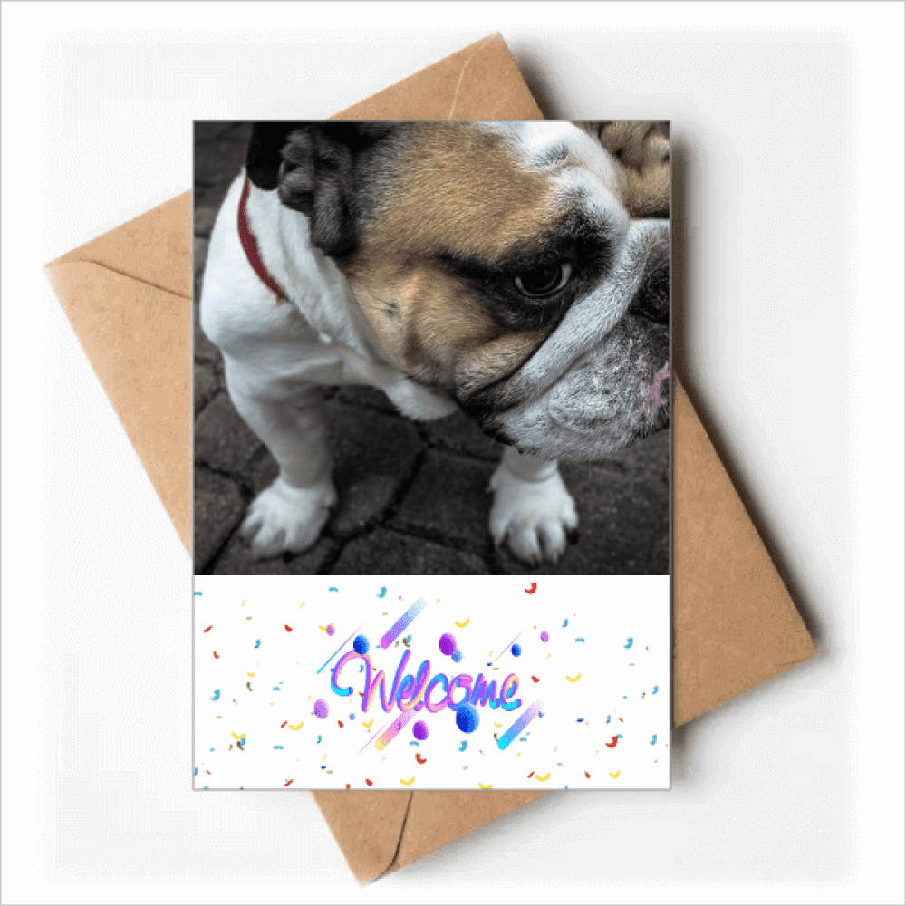 Bulldog Pet Animal Photography Pictures Welcome Back Greeting Cards ...