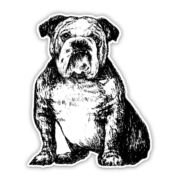 Bulldog Sketch Black and White - 3" Vinyl Sticker - For Car Laptop ...