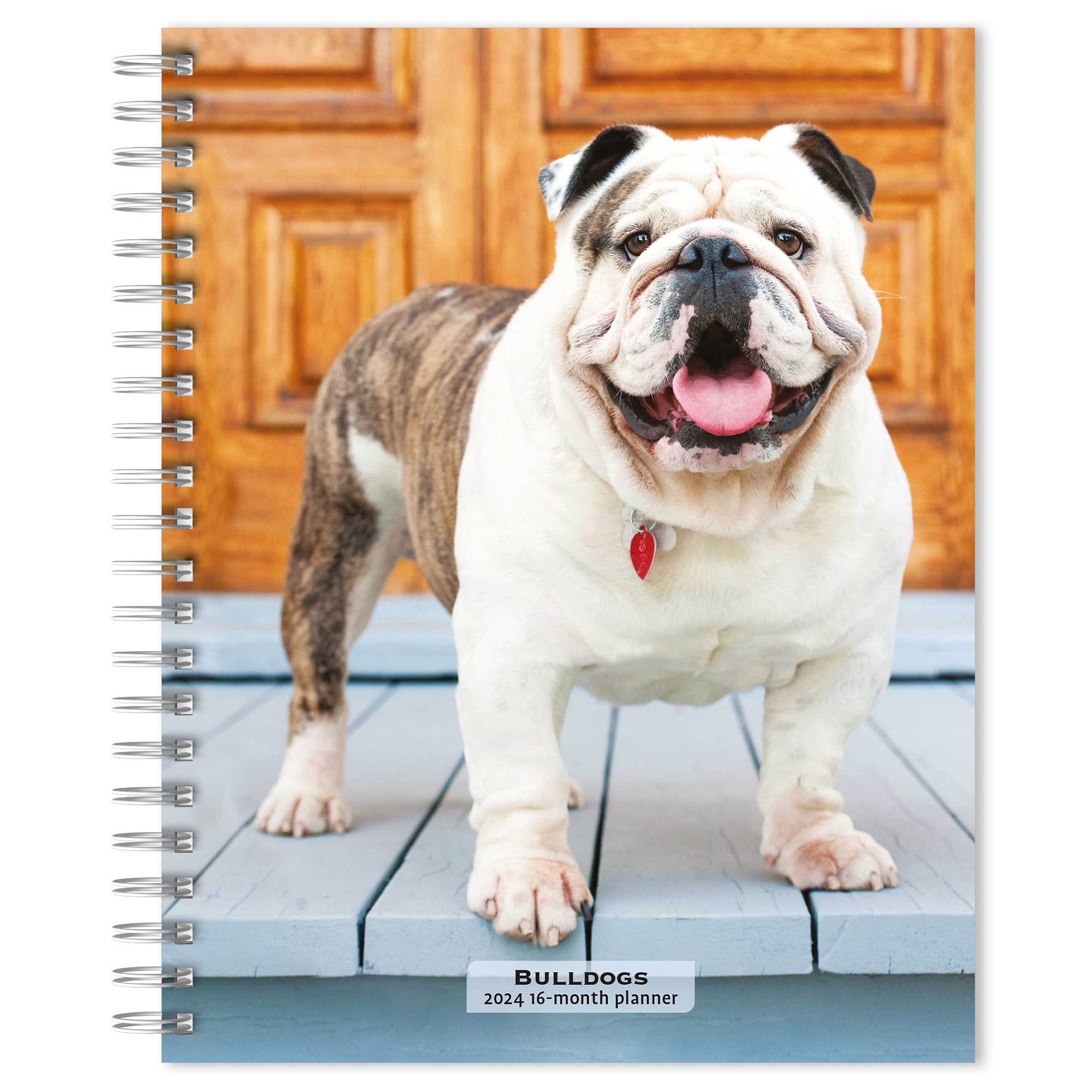Bulldogs | 2024 6x7.75" Wire-O Engagement Planner Calendar | BrownTrout ...