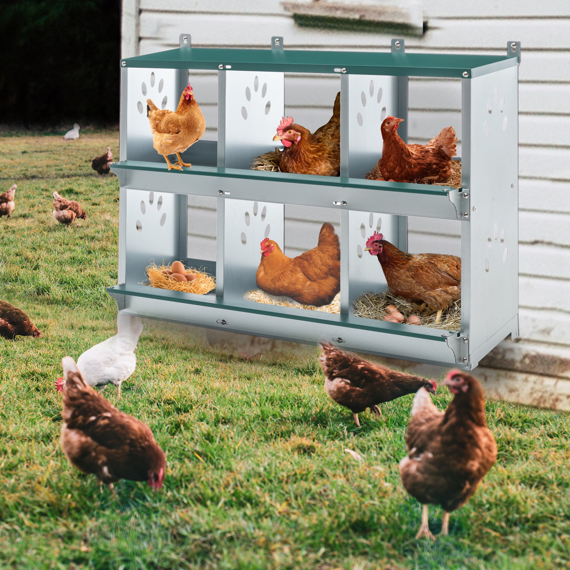 Bullenfity 6 Compartment Metal Nesting Boxes for Chickens, Collection ...