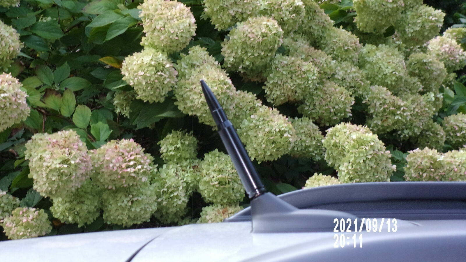 Bullet Style 0.5 Cal Black Antenna Mast for JEEP COMPASS MP 2017-2024 ...