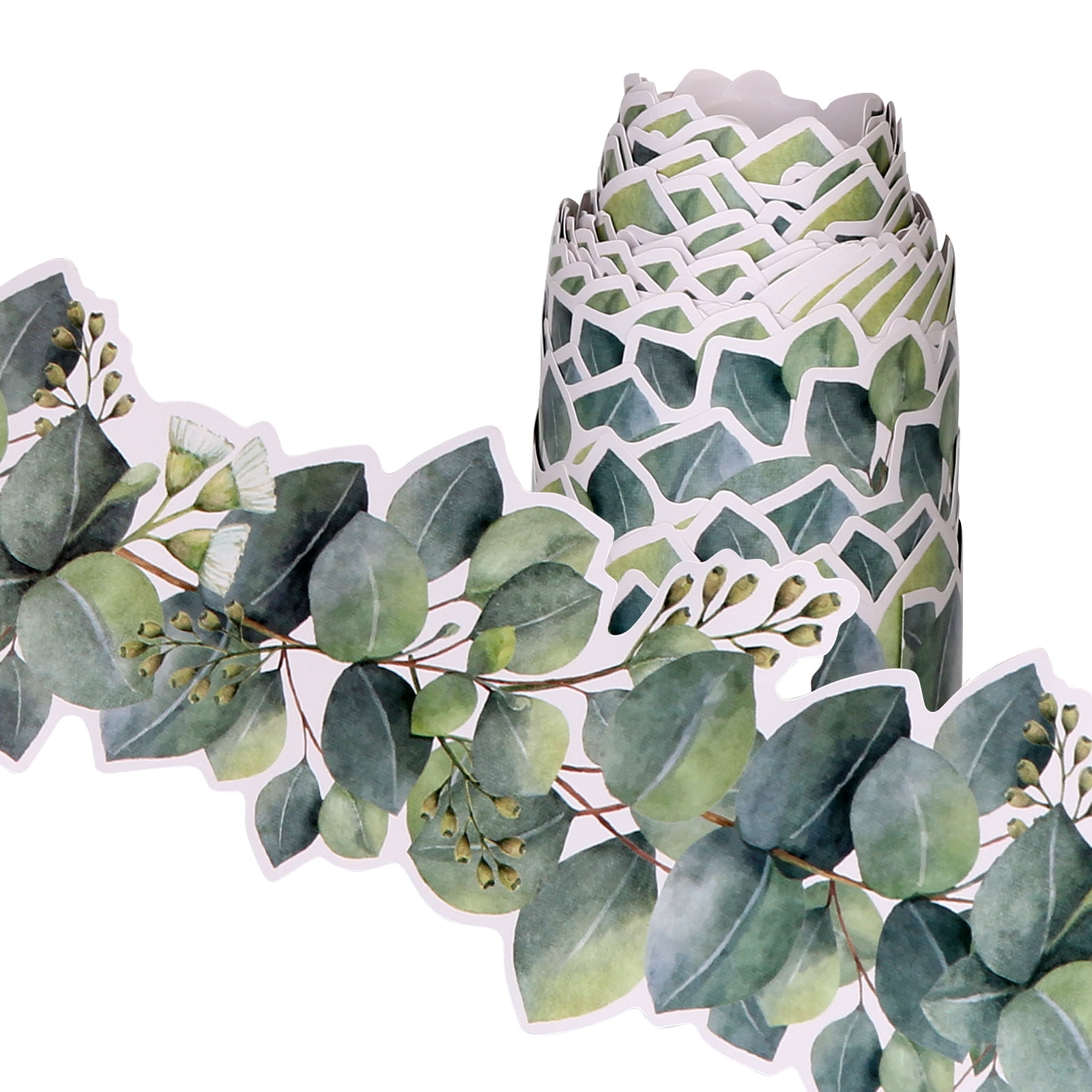 Eucalyptus Bulletin Board Trim, 16.4Ft Border for Classroom Decor, Back ...