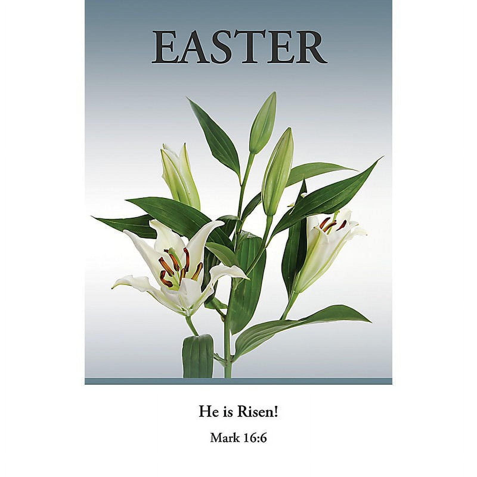 Bulletin-Easter/He Is Risen (Mark 16:6 KJV) (Pack Of 100) - Walmart.com
