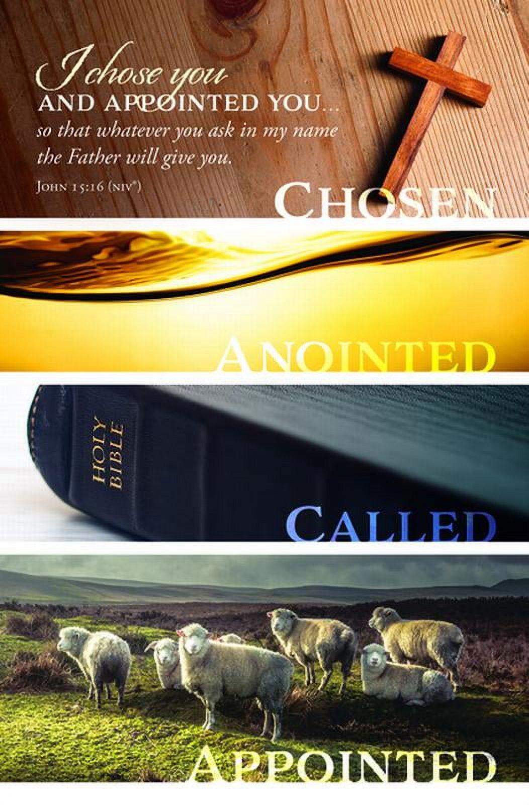 Bulletin - Installation and Ordination - I Chose You and Appointed You ...
