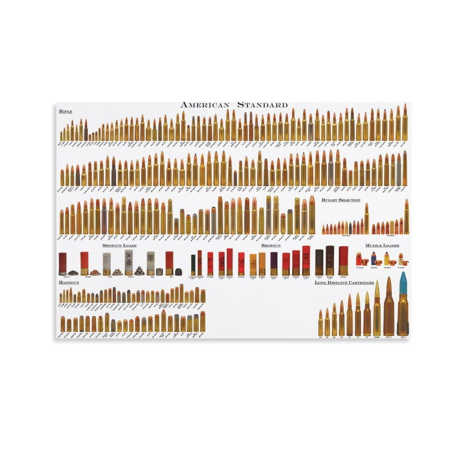 Bullets Types Ammunition Poster Poster Album Art Decor Painting Wall ...