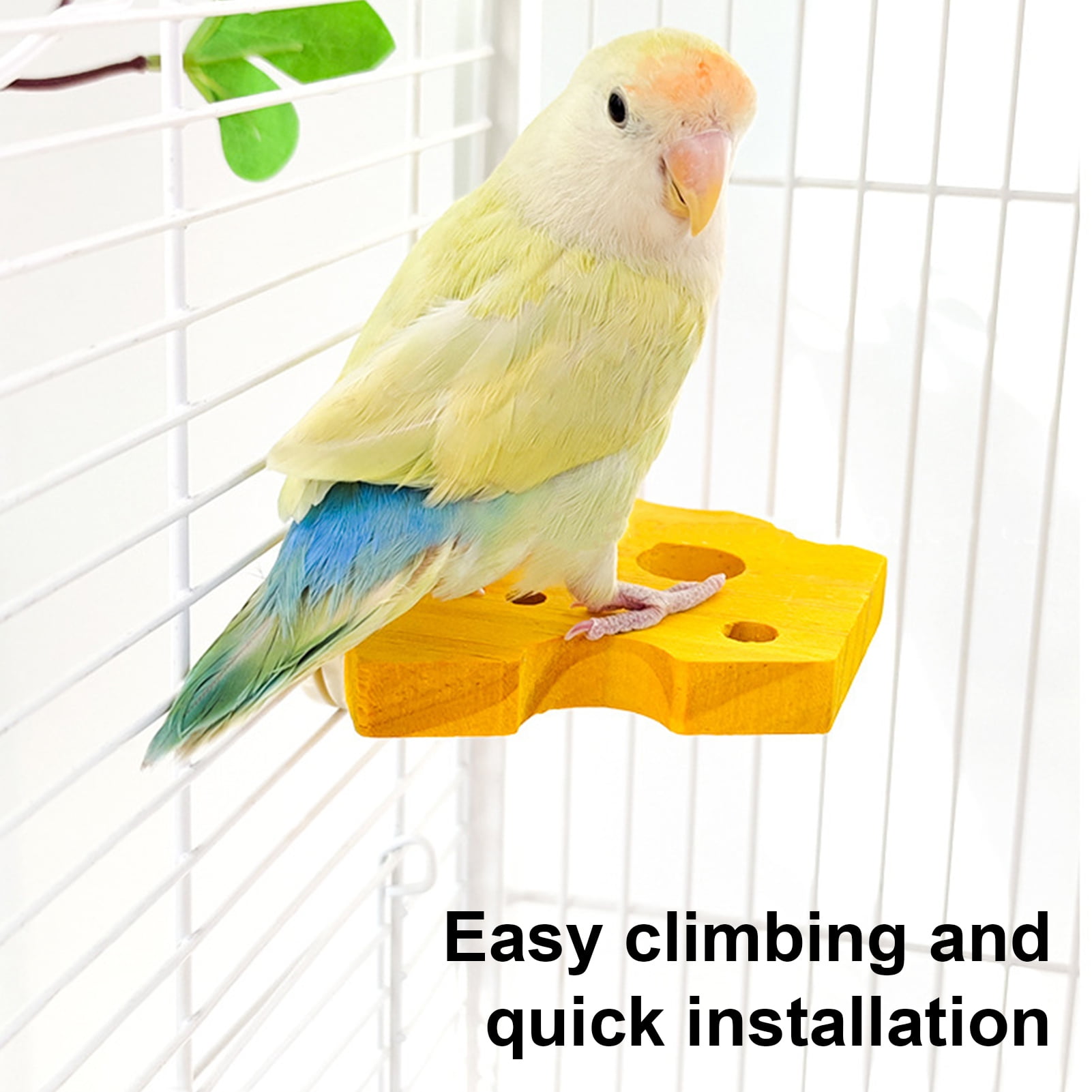 Bullpaw Birds Perch Cheese Shape Parrot Stand Wooden Parakeet Chewing ...