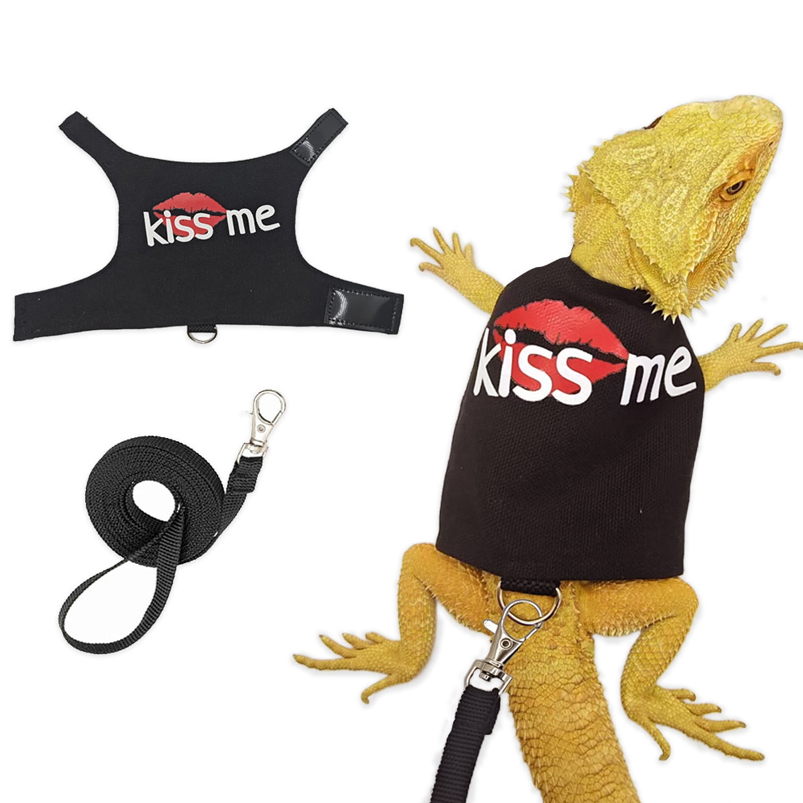 Bullpaw Lizard Reptile Leash Harness Set Adjustable Small Animal ...