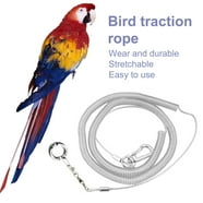Bird Free Ropes Parrot Flying Training String Hauling Cord Pigeon Pet ...