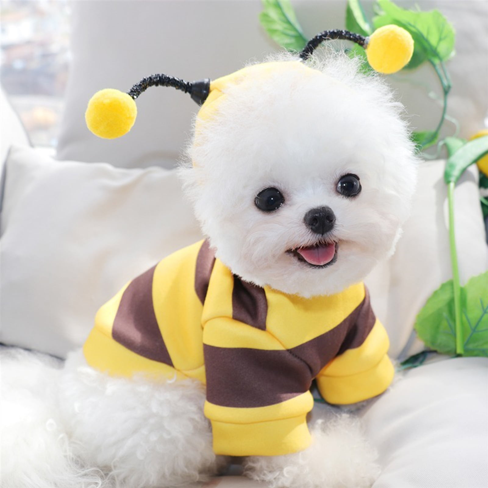 Bullpaw Pet Bee Costume Dog Winter Hoodies Warm Dress-up Apparel ...