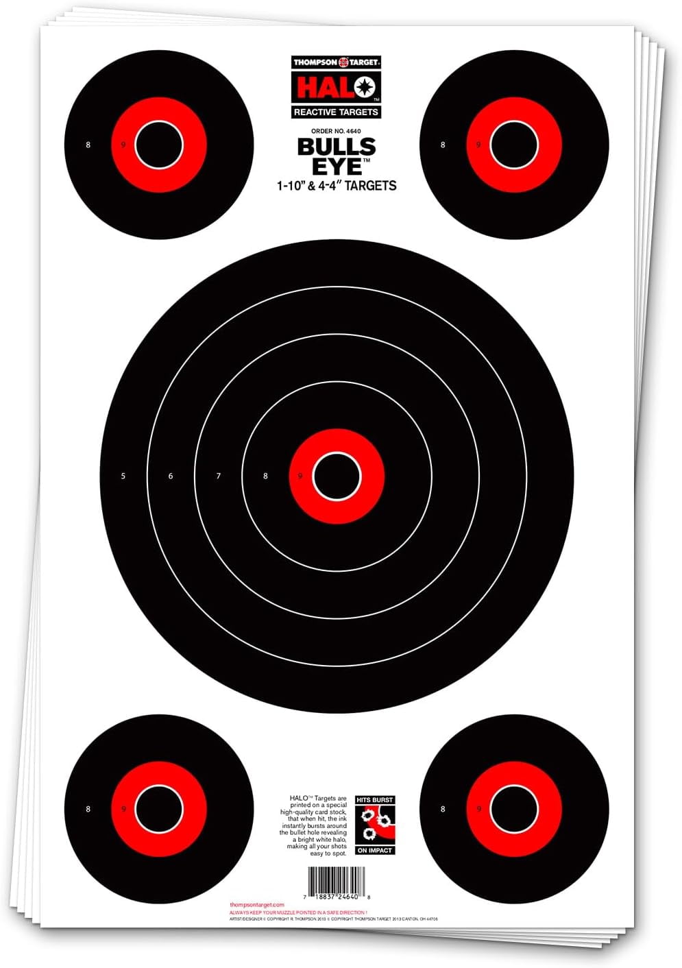 Bullseye 10" & 4" - High Visibility Reactive Splatter 12.5x19 Inch ...