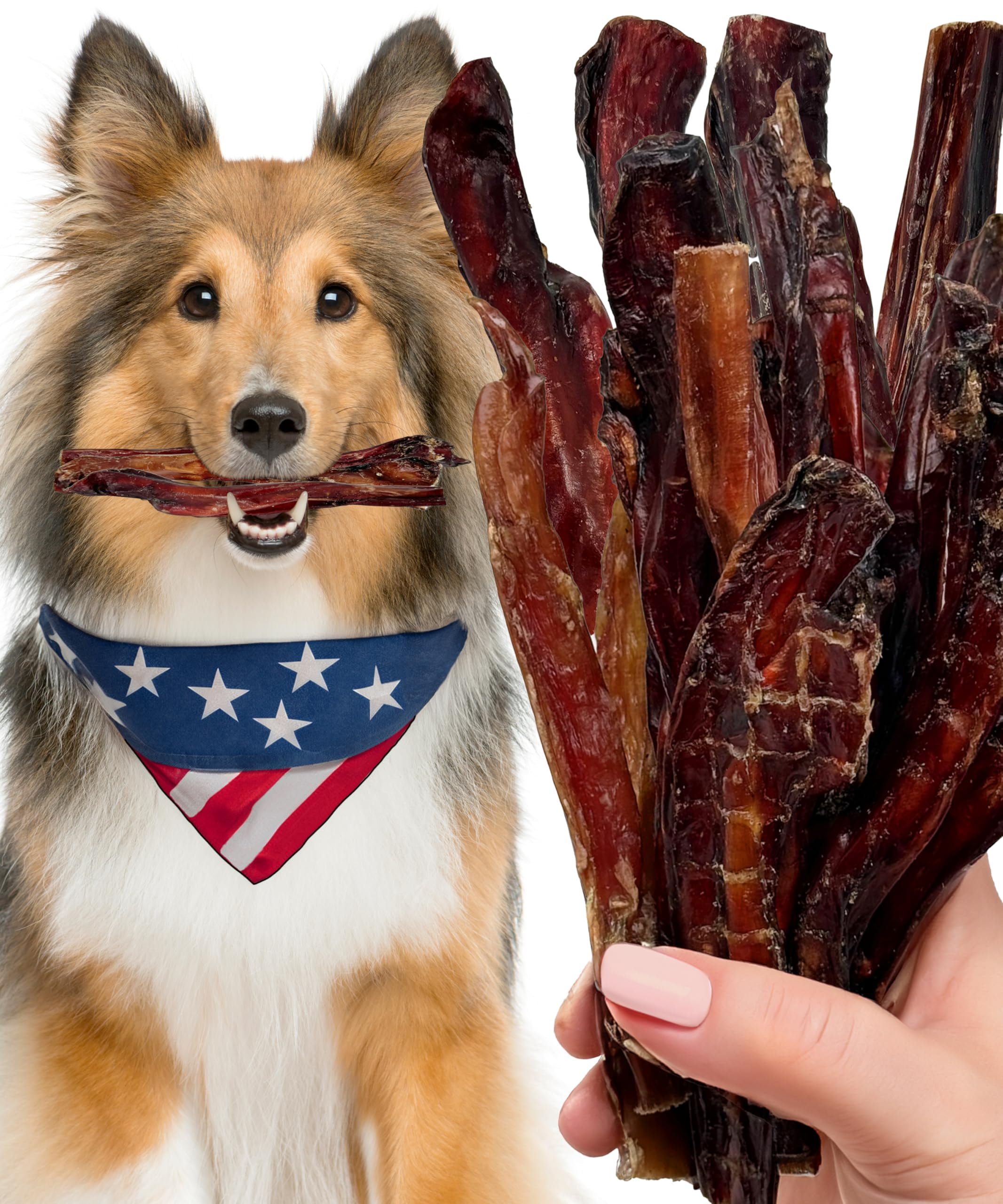 Bully Sticks for Dogs TMA2 Sourced & Made in USA, Taste, Shape, & Color ...