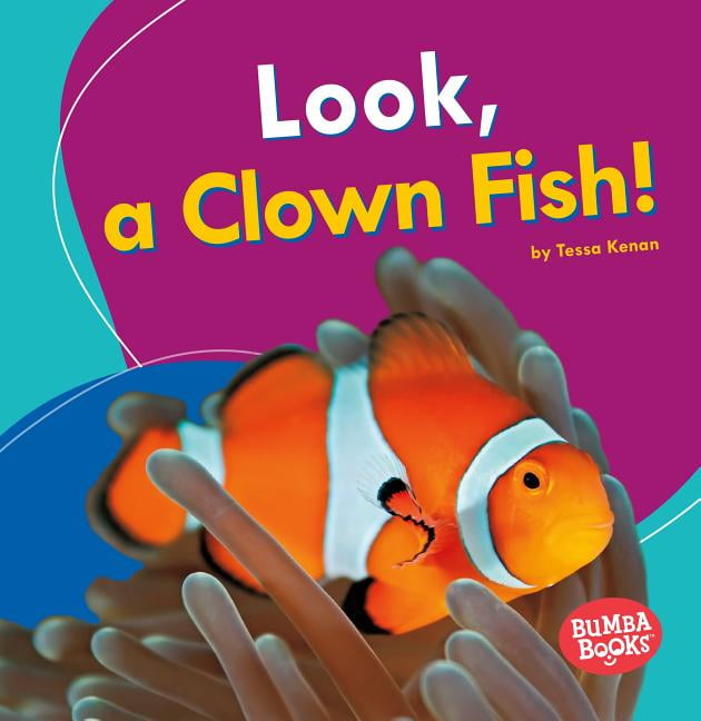 Bumba Books (R) -- I See Ocean Animals: Look, a Clown Fish! (Paperback ...