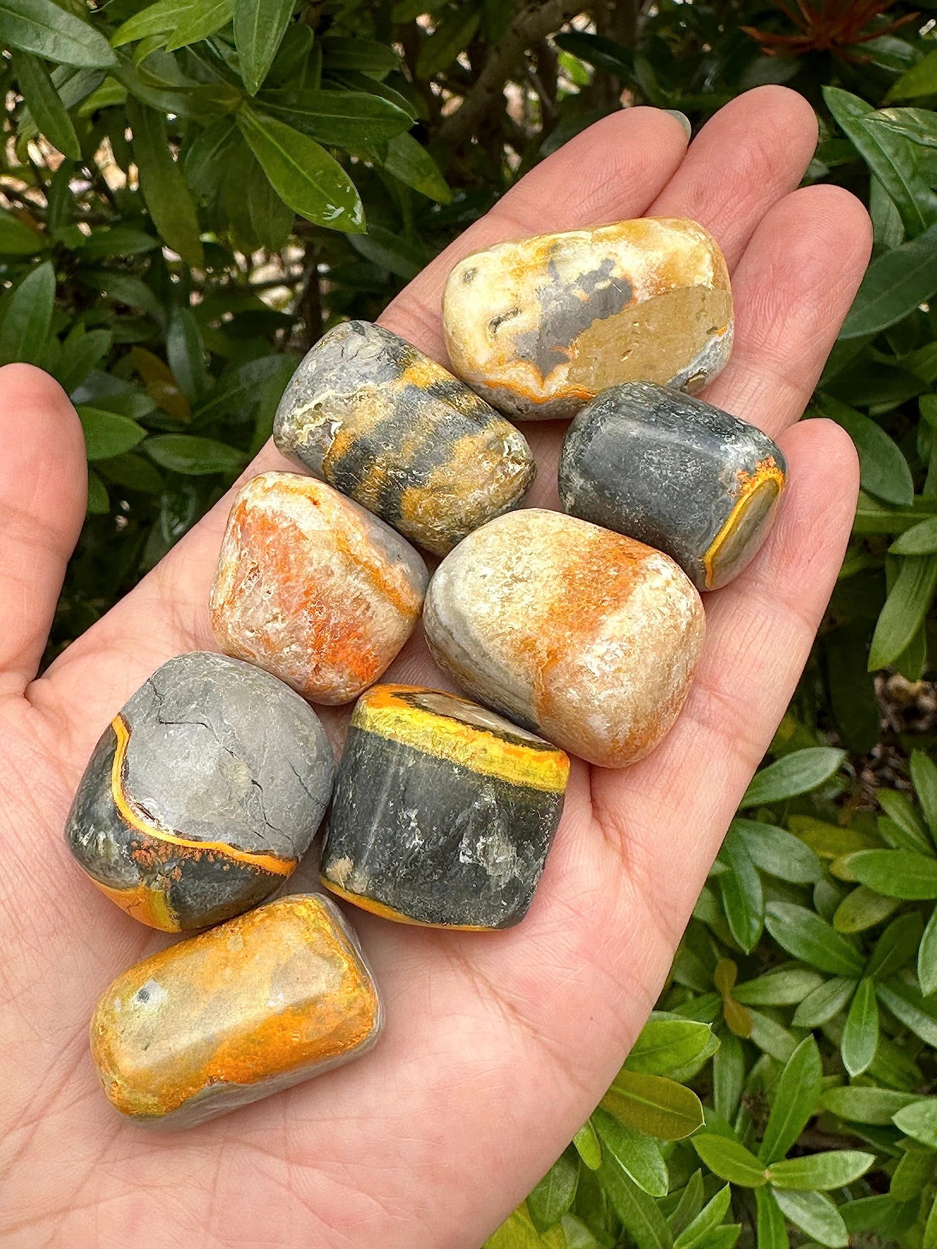 Bumble Bee Jasper Tumbled Stones, Polished Bumble Bee Jasper Gemstone ...
