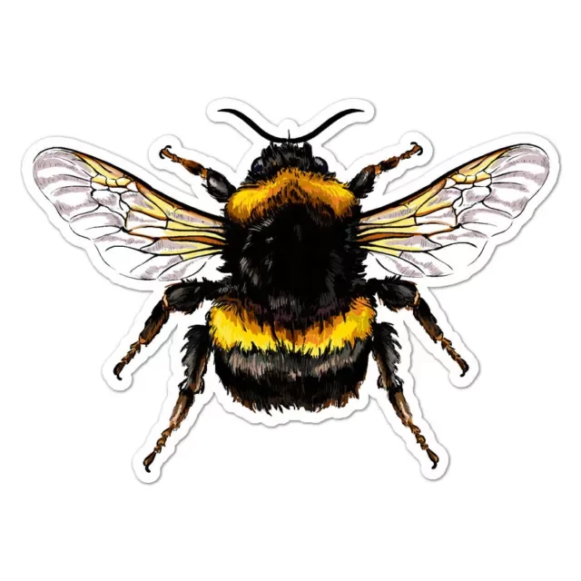 Bumble Bee Sticker Indoor Outdoor Phone Decal Water Bottle Stickers Car ...