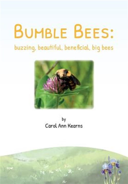 Bumble Bees: Buzzing, Beautiful, Beneficial, Big Bees - Walmart.com