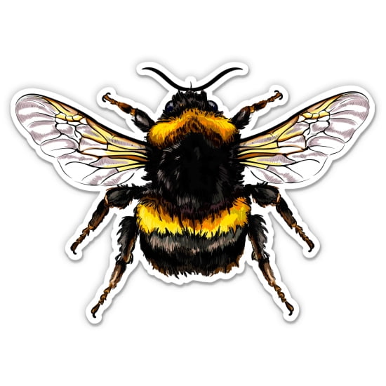 Bumblebee Colorful - 8" Vinyl Sticker - For Car Laptop I-Pad ...