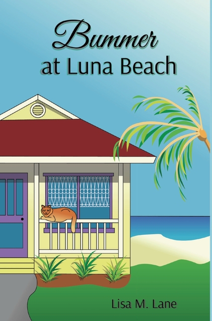 Bummer at Luna Beach, (Hardcover) - Walmart.com