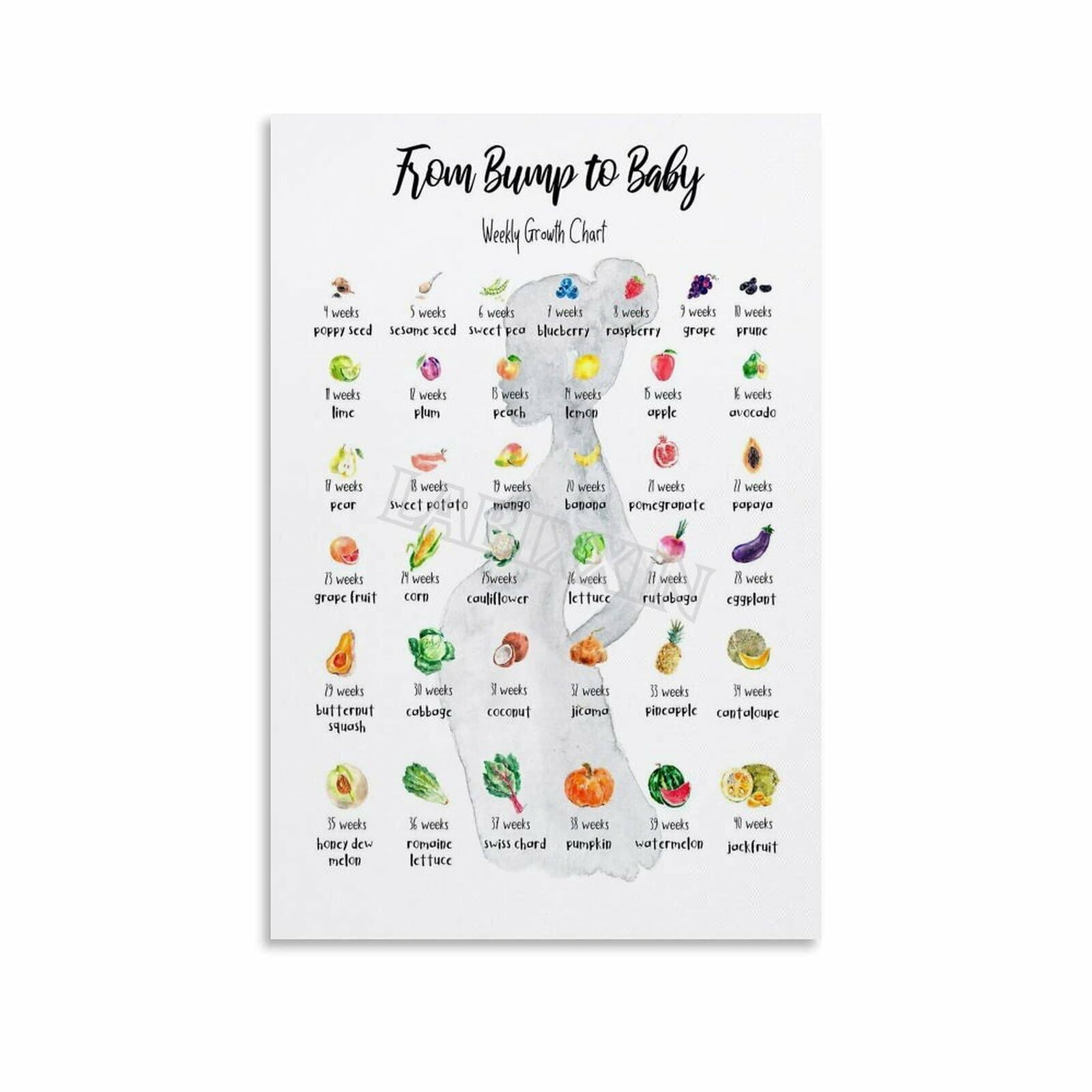 Bump to Baby Pregnancy Weekly Fruit Growth Chart Poster Canvas Painting ...