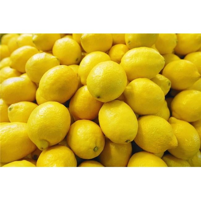 Bunch Of Lemons Poster Print - Walmart.com