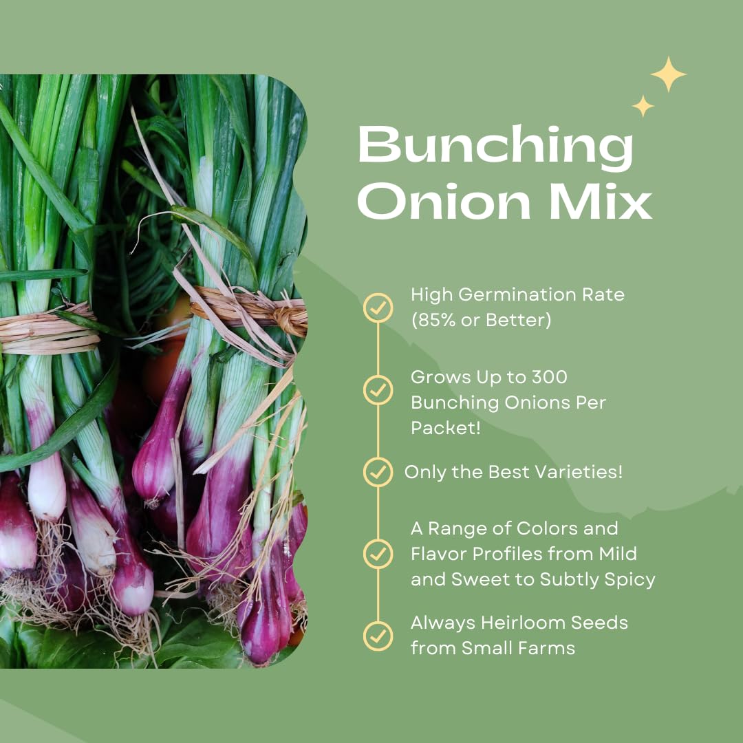“Bunching Onion Mix” AJH3 Bunching Onion Seeds - Fast-Growing Bunching ...