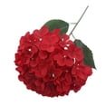 Bunchs Porch Hydrangea Realistic Outdoor Hydrangea For Kitchen ...