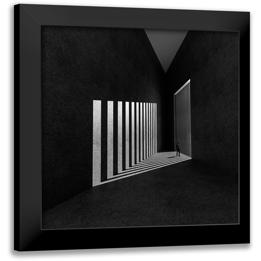 Bunjamin, Antonyus 20x20 Black Modern Framed Museum Art Print Titled ...
