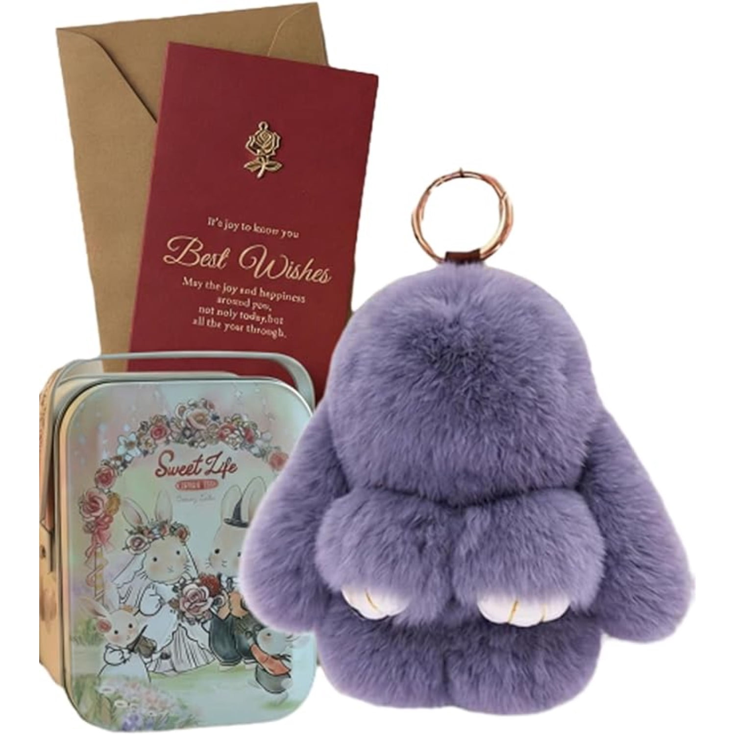 Bunny Keychain With Tin Box, 2026 New Soft Bunny Keychain, Bunny In Tin ...