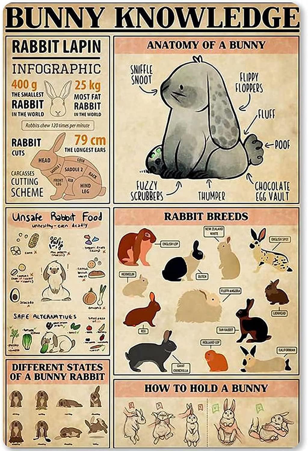 Bunny Knowledge Metal Signs Rabbit Guide Posters Animal Science Home ...