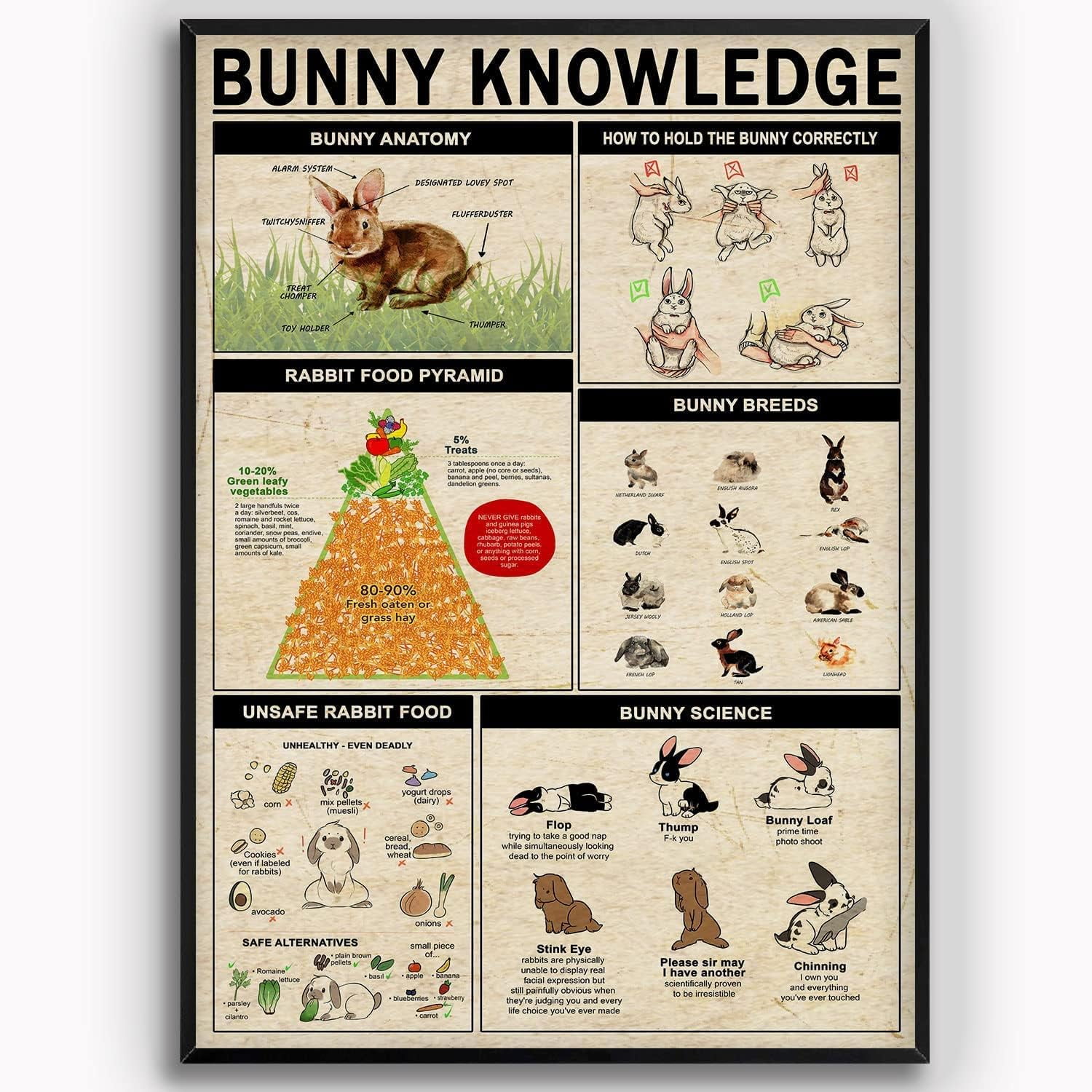 Bunny Knowledge Metal Tin Signs Vintage Rabbit Anatomy Guide Posters ...
