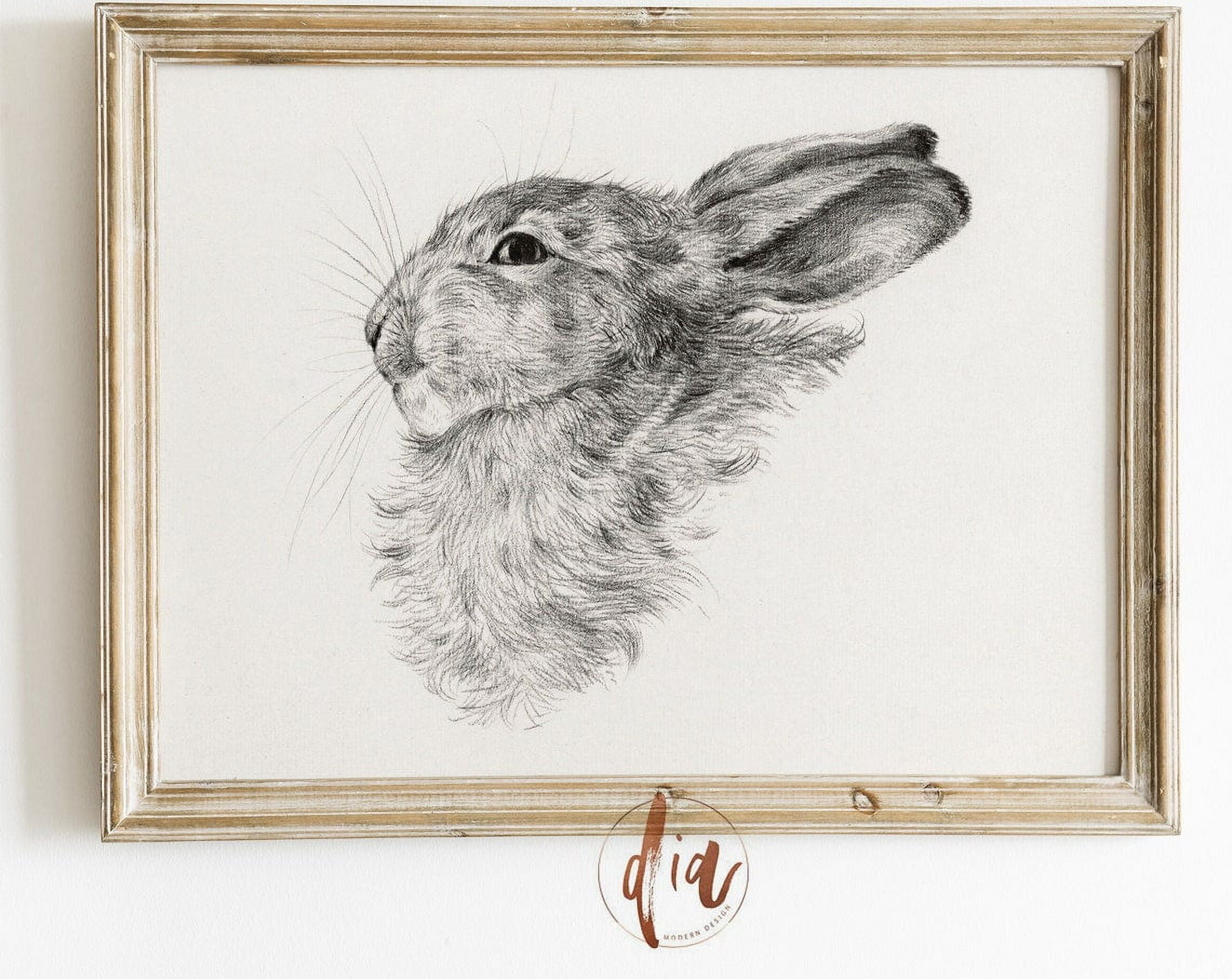 Bunny Rabbit Drawing, Vintage Rabbit Sketch, Easter, Antique Print ...