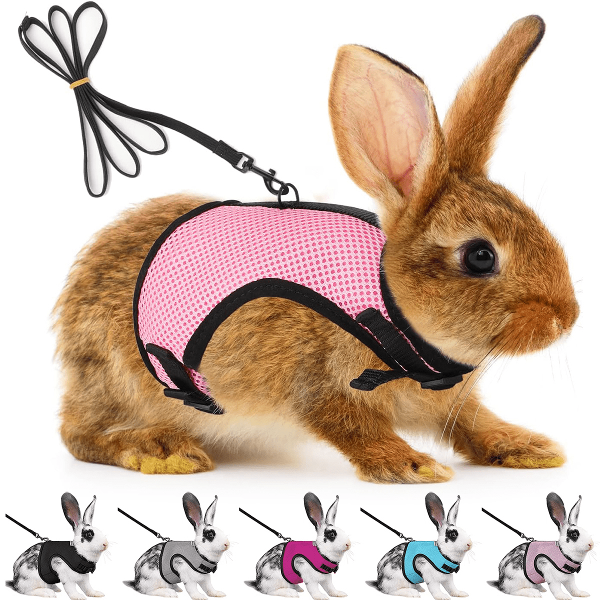 Bunny Rabbit Harness with Leash Cute Adjustable Buckle Breathable Mesh ...