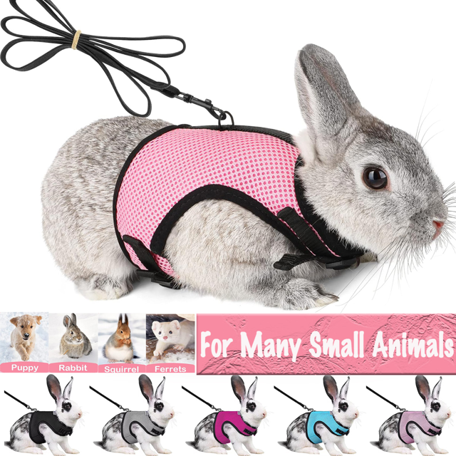 Bunny Rabbit Harness with Leash Cute Adjustable Buckle Breathable Mesh ...