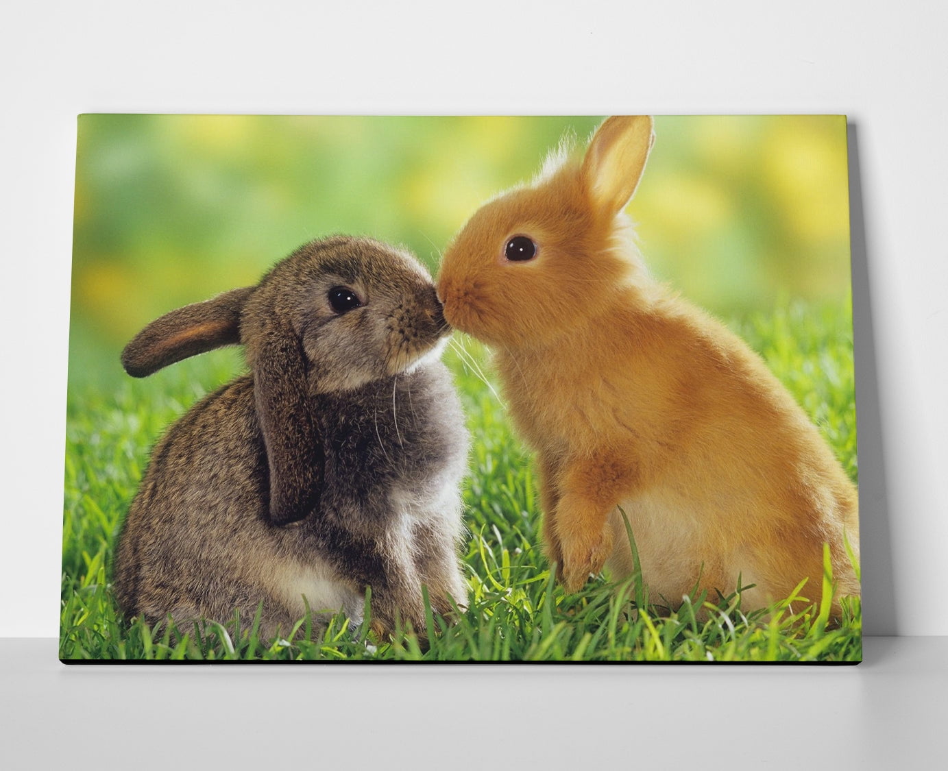 Bunny Rabbits Poster or Wrapped Canvas - Walmart.com