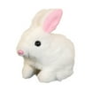 Fanyil Bunny Pal, Family Bunny, Libiyi/Petsboro™ Bunnypal, Bunby - My ...