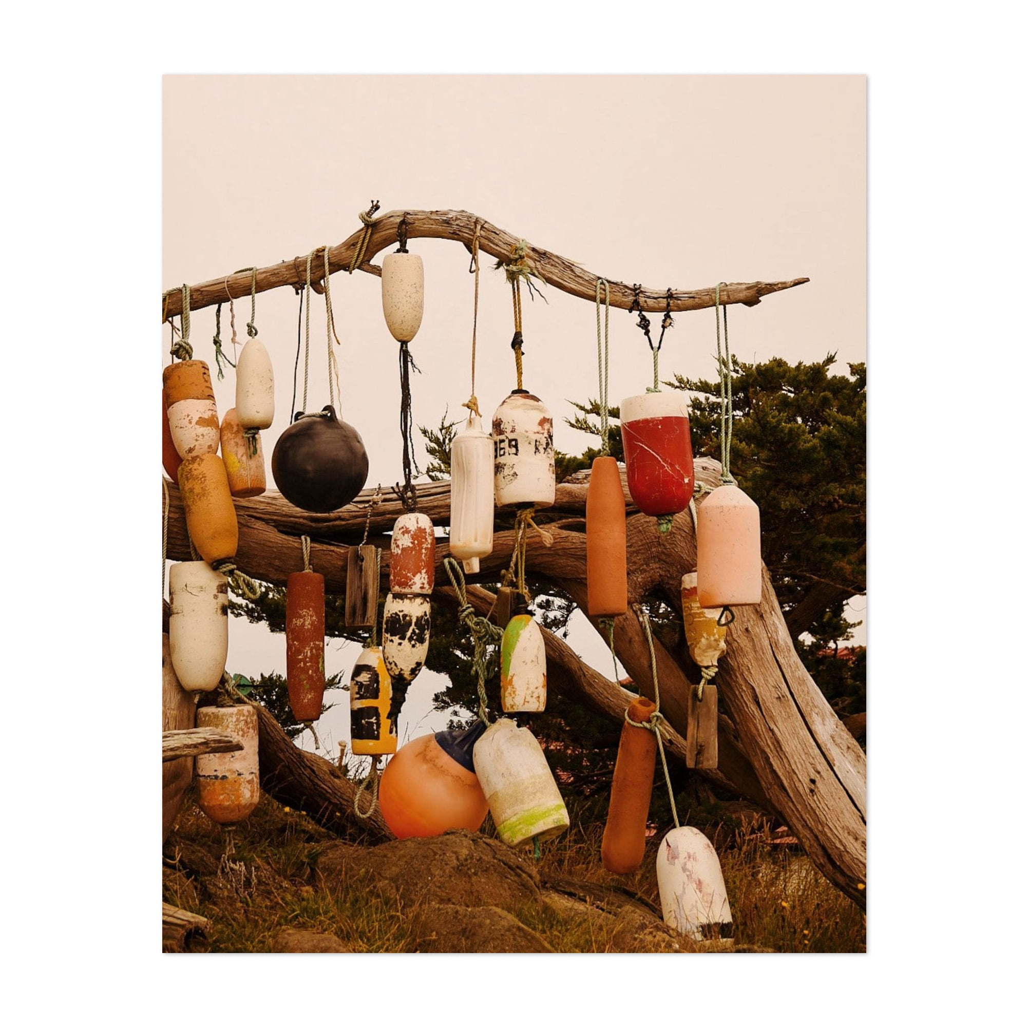 Buoys - Crescent City California Photography Coastal Beach House Rustic ...