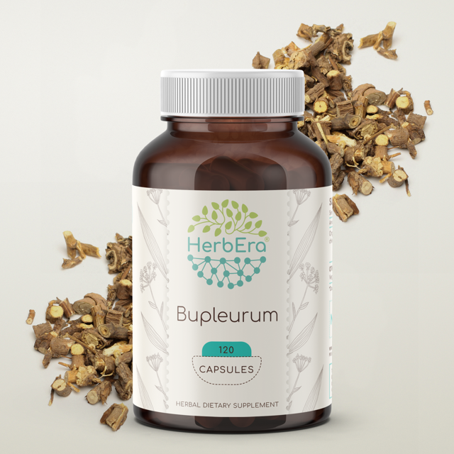 Bupleurum 120 Capsules, 500 mg, Organic Bupleurum (Bupleurum Chinense ...