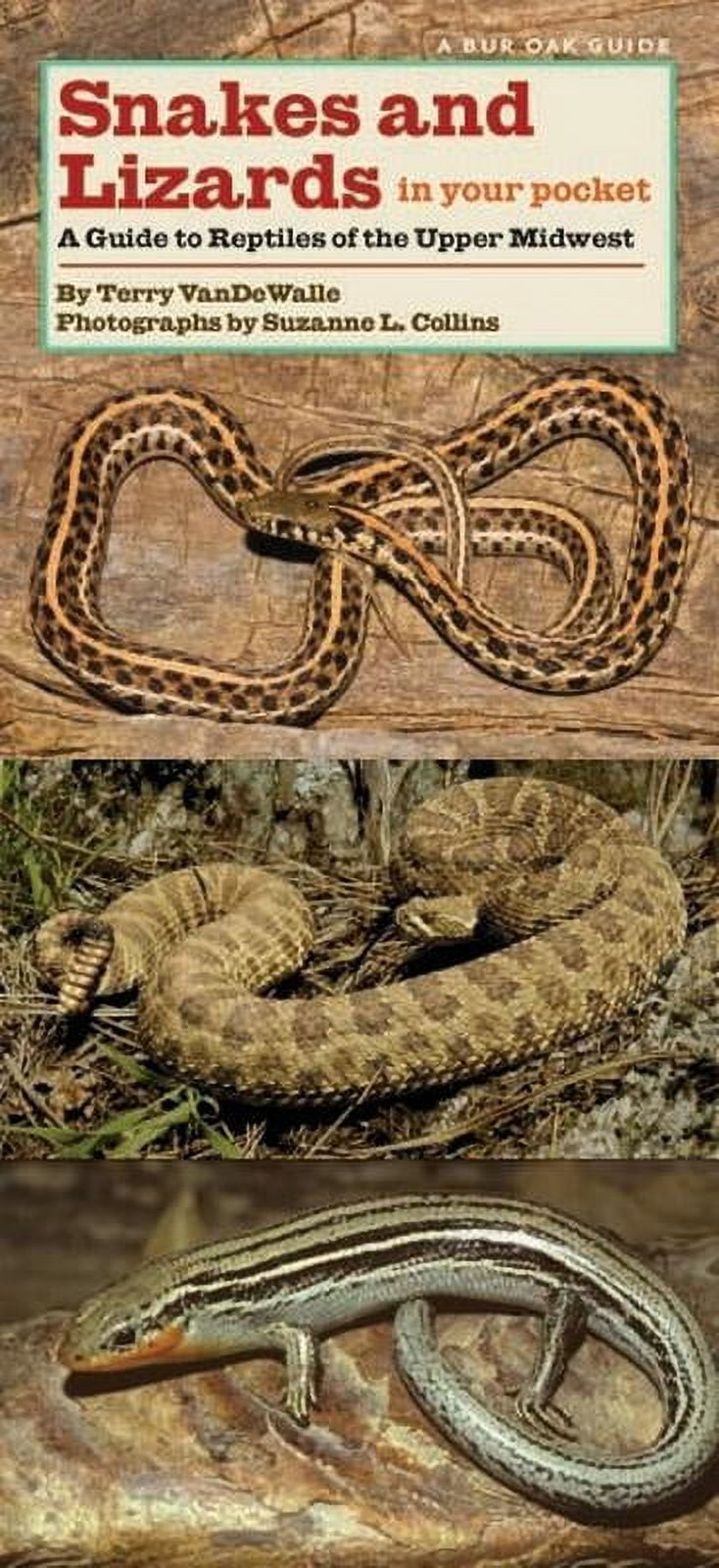 Bur Oak Guide: Snakes and Lizards in Your Pocket : A Guide to Reptiles ...