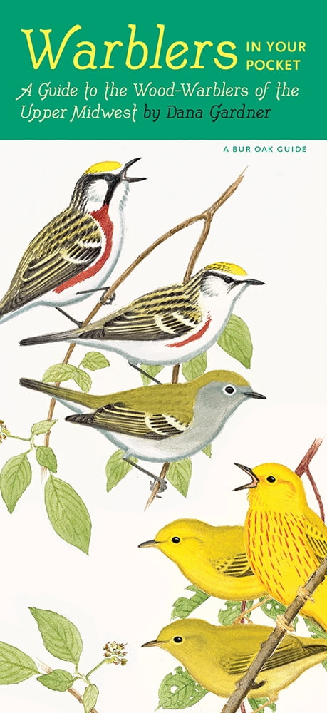 Bur Oak Guide: Warblers in Your Pocket : A Guide to Wood-Warblers of ...