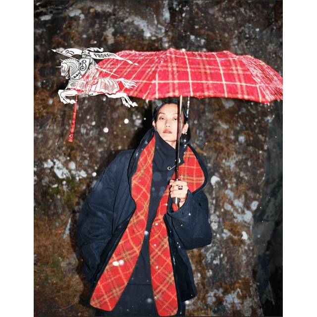 Burberry by Tyrone Lebon FW 2024 Poster 24x36 - Fashion Campaign ...