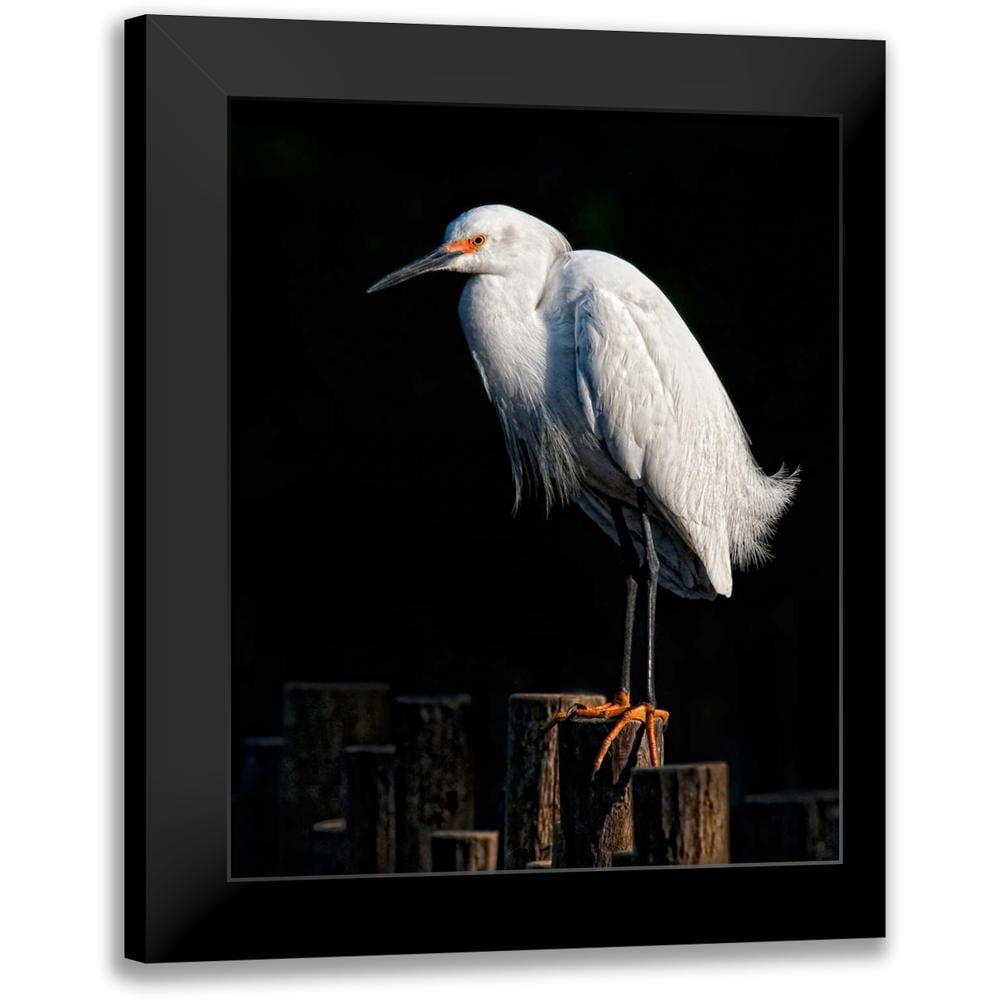 Burchett, PH 12x14 Black Modern Framed Museum Art Print Titled - Water ...