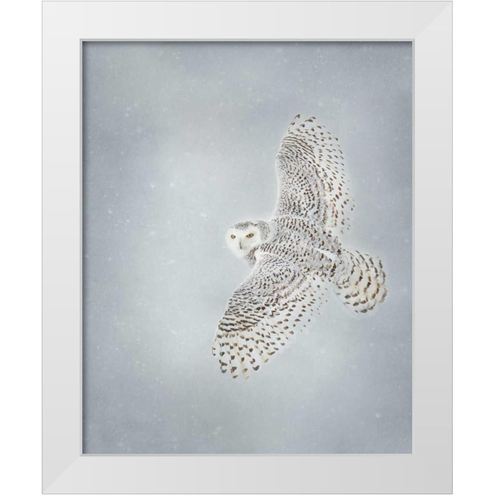 Burchett, PH 12x14 White Modern Wood Framed Museum Art Print Titled ...