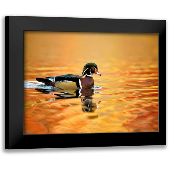 Burchett, PH 14x12 Black Modern Framed Museum Art Print Titled - Water ...