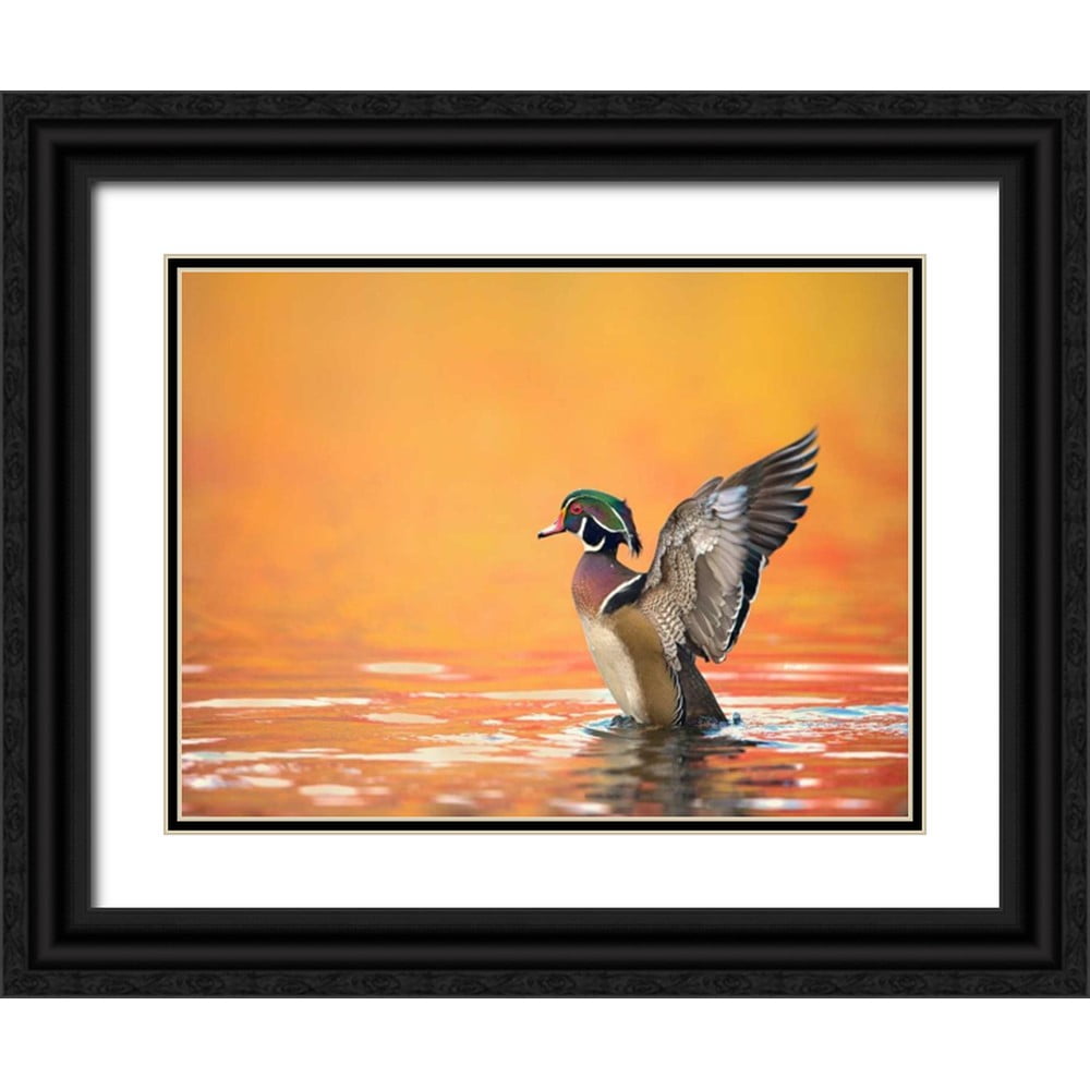Burchett, PH 14x12 Black Ornate Wood Framed with Double Matting Museum ...